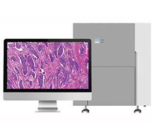 药企合作-阿克曼病理